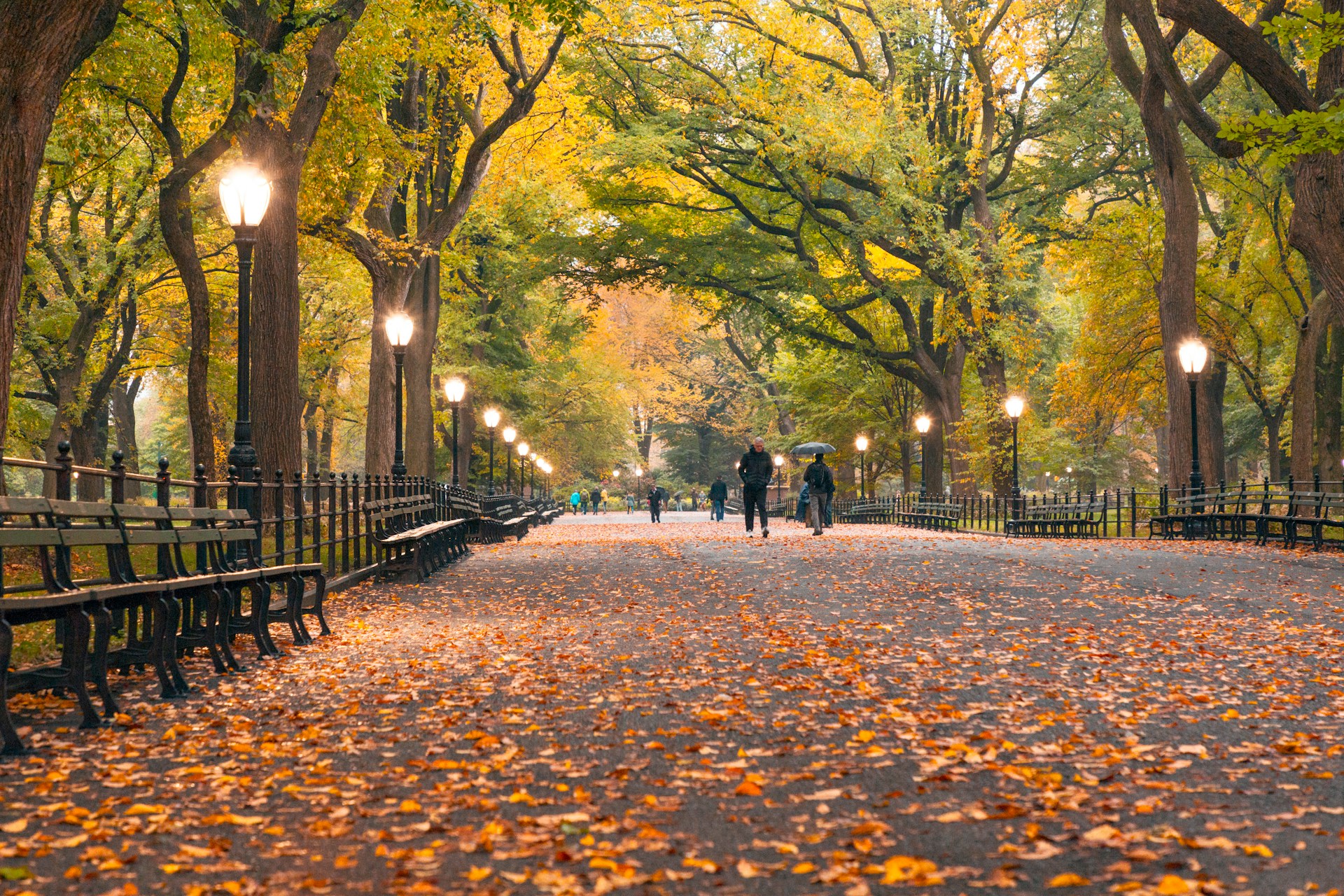 Top 5 Fall Student Travel Destinations - Music Travel Consultants